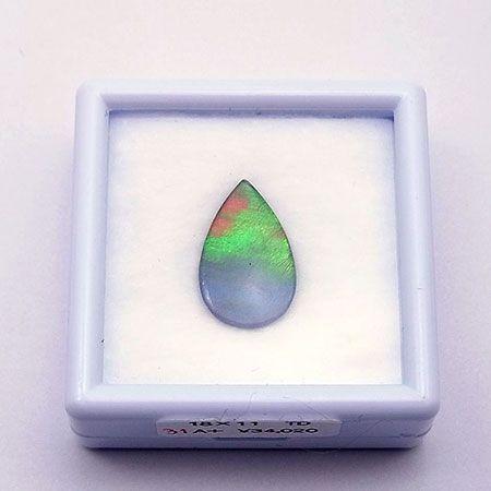 アンモライト トリプレット ルース AAグレード tr031 : アンモライトミュージアム - 通販 - Yahoo!ショッピング