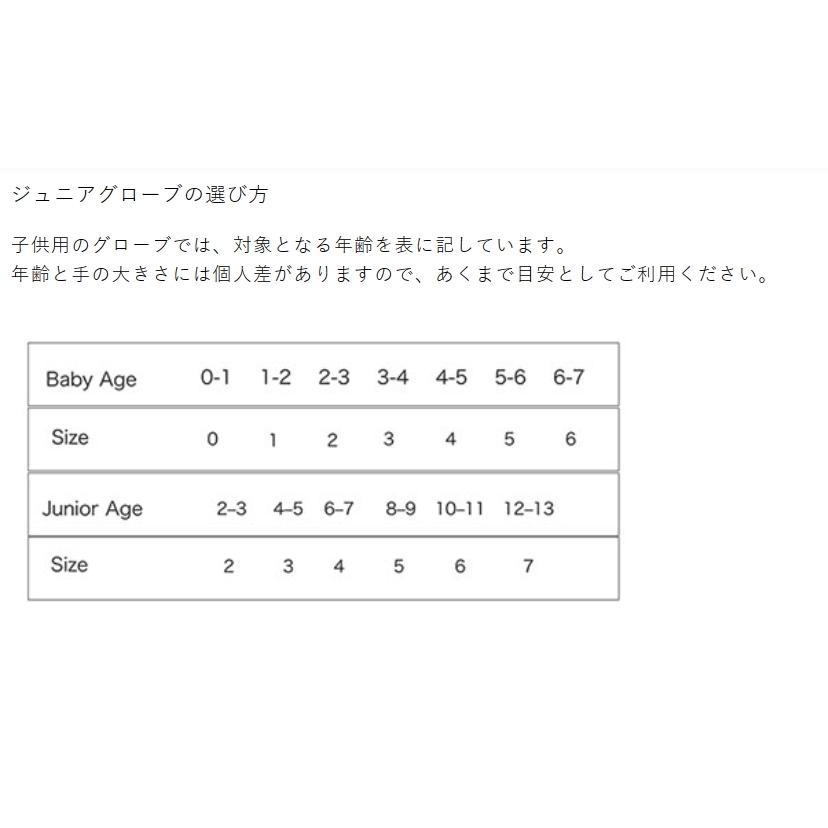 HESTRA ヘストラ FEROX PRIMALOFT 910 Rose フェロックス プリマロフト 5本指 キッズ ジュニア グローブ ...