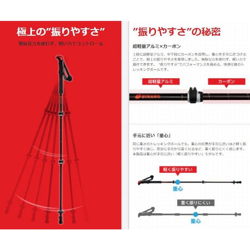 SINANO（シナノ） SINANO Fast-130 カーボン W ブラック 105-130cm 2本