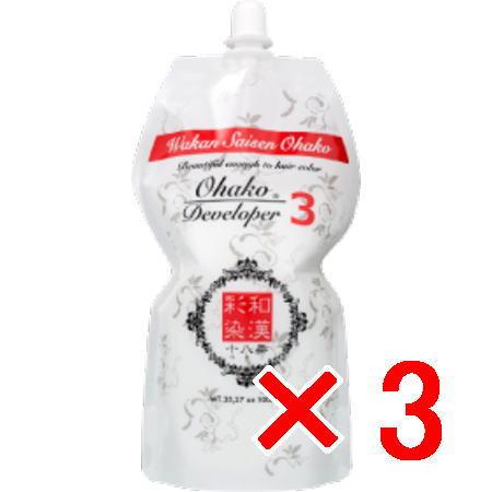 送料無料 日本グランデックス 和漢彩染 十八番 デベロッパー 3% 1000ml 3個 白髪染め カラーリング 第2剤 : amugis Yahoo!店 - 通販 - Yahoo!ショッピング