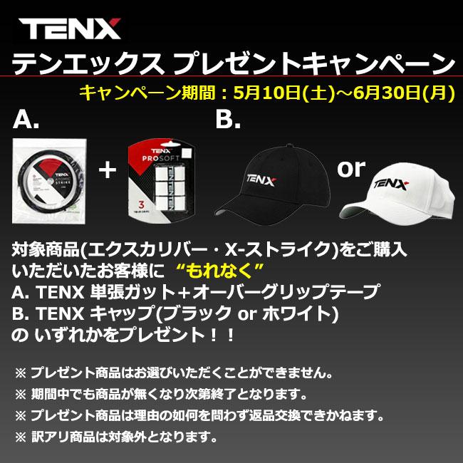 27.0inch テンエックス プロ(TENX PRO) XCALIBRE エクスカリバー (300g) 海外正規品 硬式テニスラケット (21y8m) AC : アミュゼスポーツ - 通販 ...