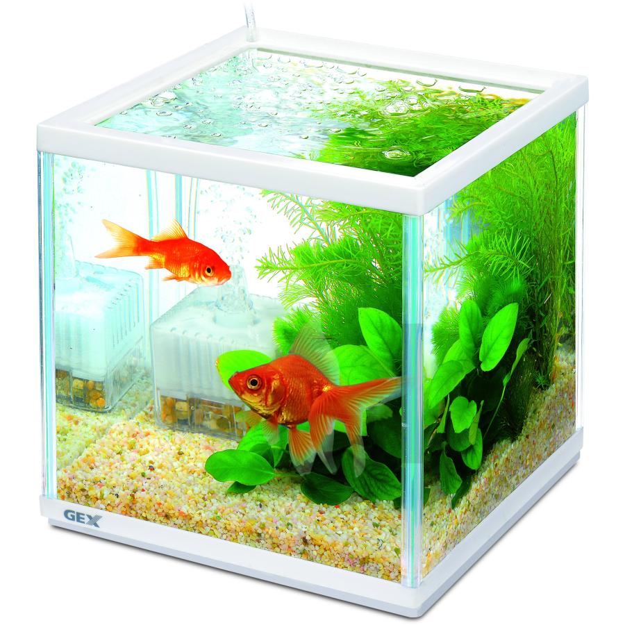 GEX 金魚元気 キューブセット 水槽サイズ:約W20×D20×H20cm 水容量:約6L 水槽ホワイトフレーム幅20cm : amuzabutiko - 通販 - Yahoo!ショッピング