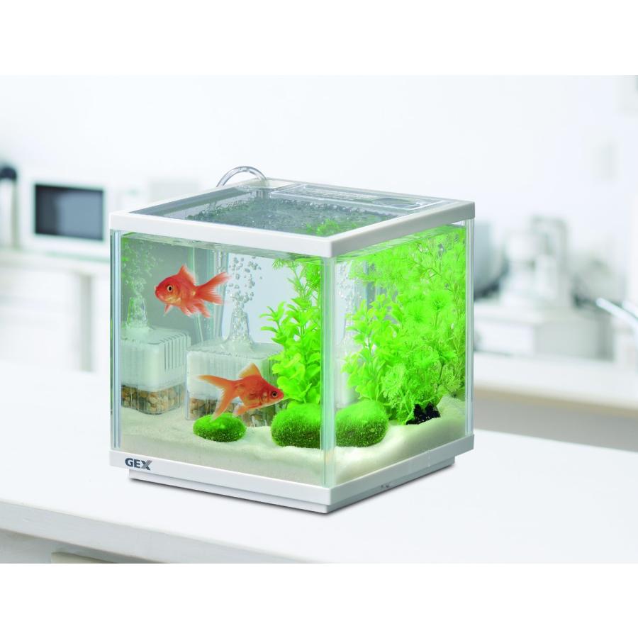 GEX 金魚元気 キューブセット 水槽サイズ:約W20×D20×H20cm 水容量:約6L 水槽ホワイトフレーム幅20cm : amuzabutiko - 通販 - Yahoo!ショッピング