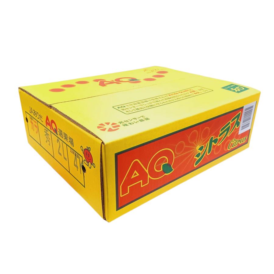 和歌山産 ”カラマンダリン” 2L 3L 大きさお任せ 約4kg カラオレンジ なつみ 柑橘 贈呈 フルーツ みかん ミカン 蜜柑 春みかん カラマンダリン : 株式会社伊達商店 - 通販 ...