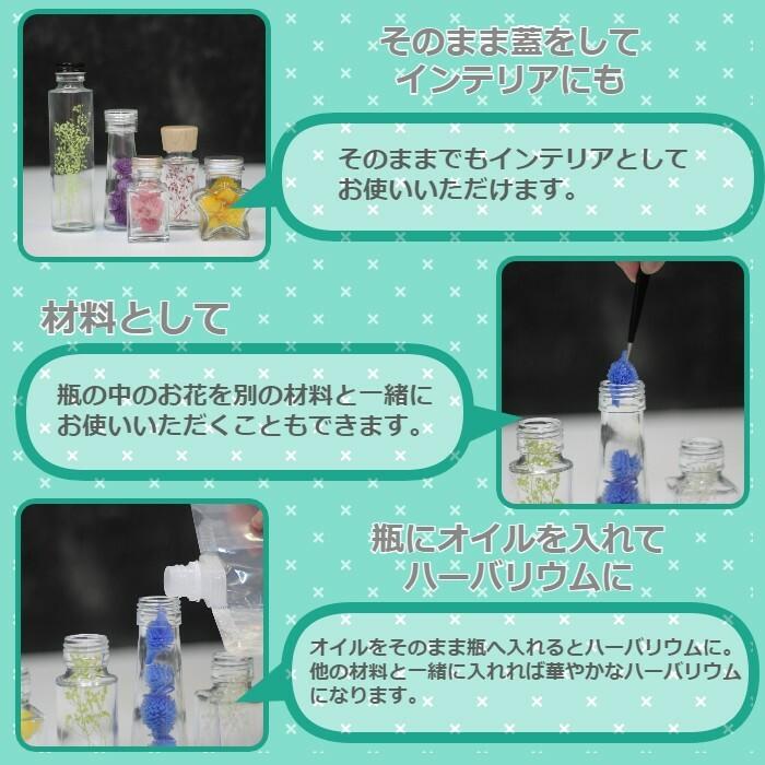 大地農園「ボトルインフラワー センニチコウ 千日紅 白 4個 円錐50ml」プリザーブドフラワー プリザ :ssg50in-sennichi4r-shiro:カイセイ加工有限会社透明屋パク ...