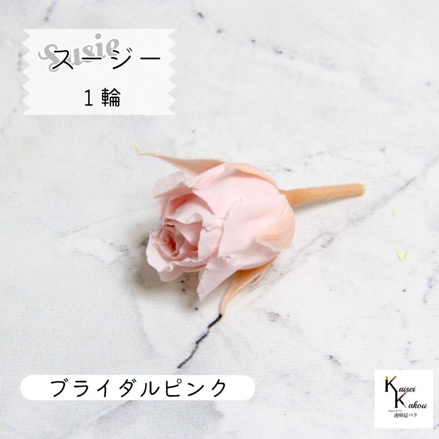 大地農園！プリザーブドフラワー 「スージー ブライダルピンク 1輪」プリザ 花材 ハーバリウム おしゃれ かわいい プレゼント 贈り物 オオチノウエン : カイセイ加工有限会社透明屋パク ...