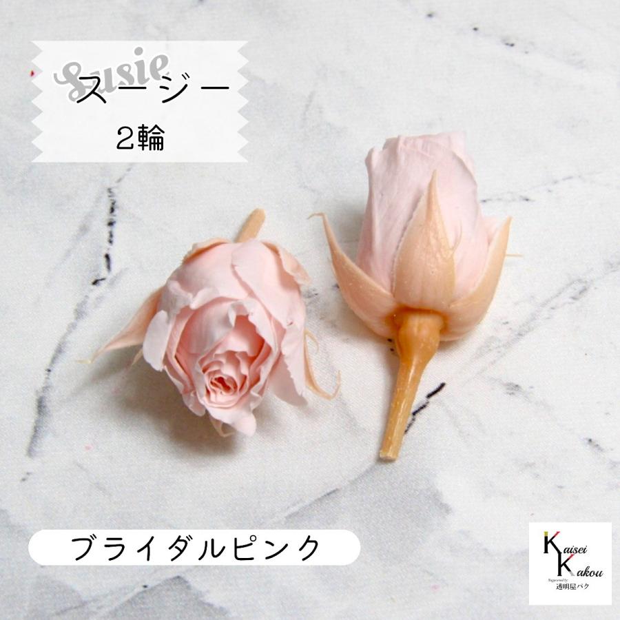 大地農園！プリザーブドフラワー 「スージー ブライダルピンク 2輪」プリザ 花材 ハーバリウム おしゃれ かわいい プレゼント 贈り物 オオチノウエン : カイセイ加工有限会社透明屋パク ...