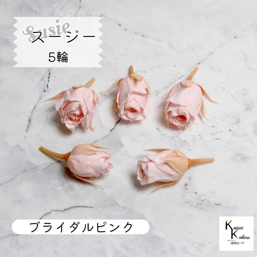 大地農園！プリザーブドフラワー 「スージー ブライダルピンク 5輪」プリザ 花材 ハーバリウム おしゃれ かわいい プレゼント 贈り物 オオチノウエン : カイセイ加工有限会社透明屋パク ...