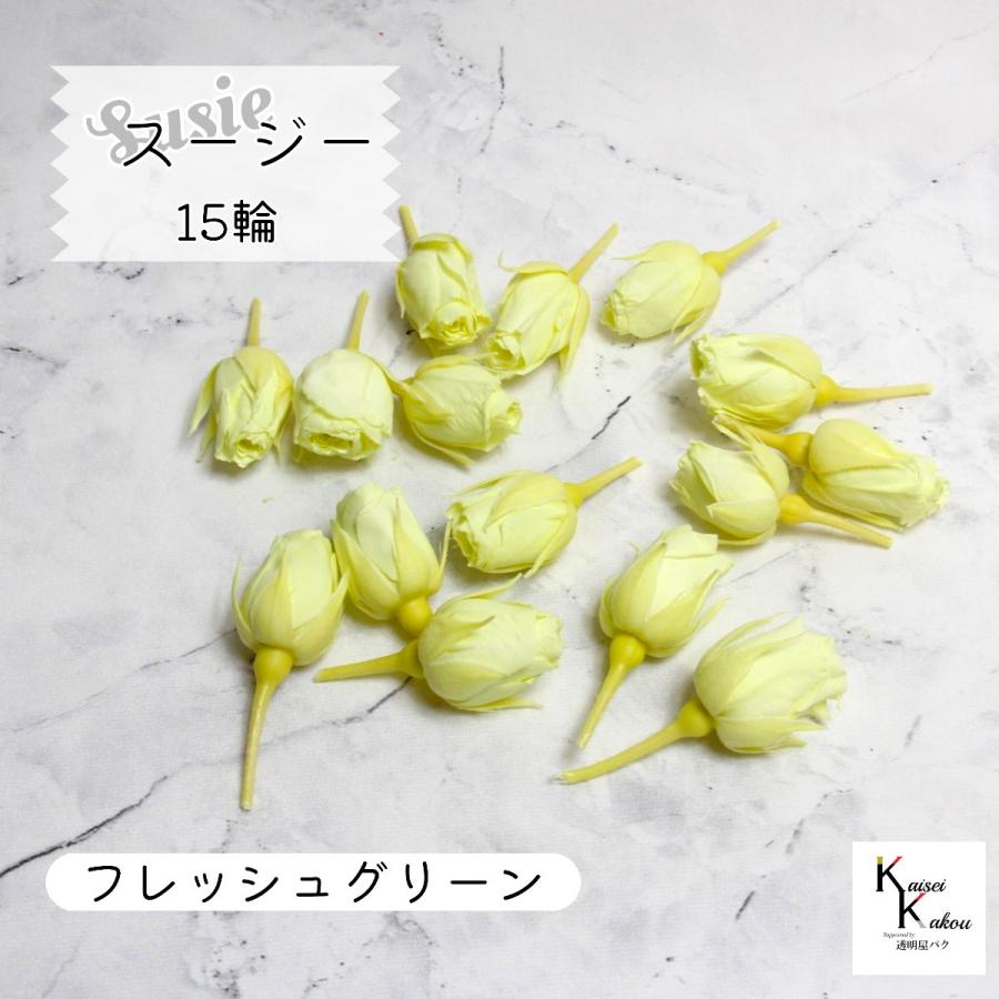 大地農園！プリザーブドフラワー 「スージー フレッシュグリーン 15輪」プリザ 花材 ハーバリウム おしゃれ かわいい プレゼント 贈り物 オオチノウエン : カイセイ加工有限会社透明屋パク ...