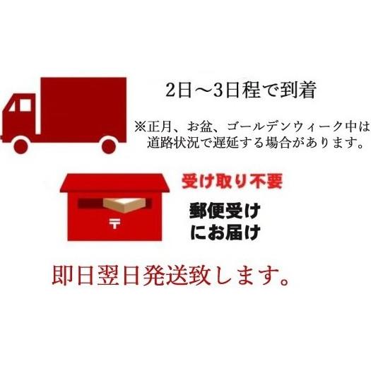 ネックレス レディース 眼鏡かけ兎 ウサギ うさぎ サージカルステンレス ペンダント ゴールド 送料無料 アレルギー :12344524 ...