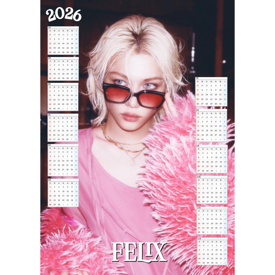 フィリックス StrayKids ストレイキッズ スキズ 2026 ラミネート カレンダー はがきサイズ 韓流 グッズ fx165-61h ...