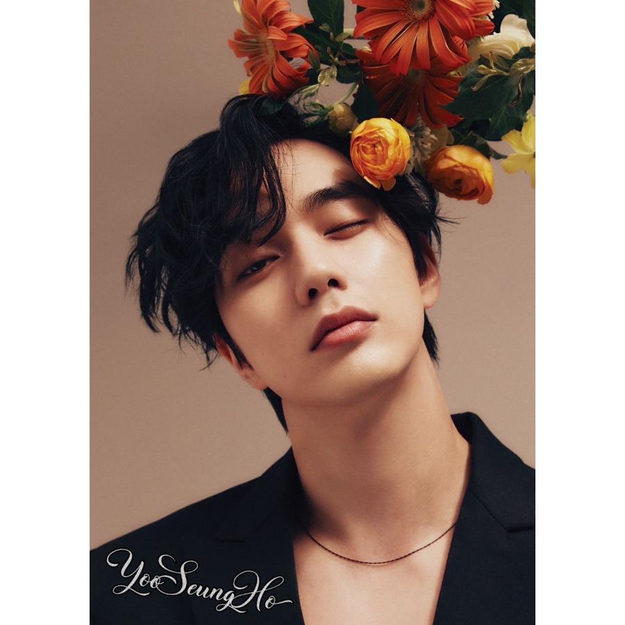 ユスンホ A3 ポスター 30×42cm 丸めてお送り 韓流 グッズ ht022-33 : アンジーソウル - 通販 - Yahoo!ショッピング