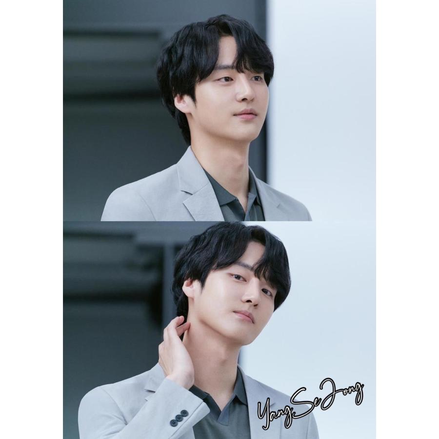 ヤンセジョン A3 ポスター 30×42cm 丸めてお送り 韓流 グッズ ht055-25 : アンジーソウル - 通販 - Yahoo!ショッピング