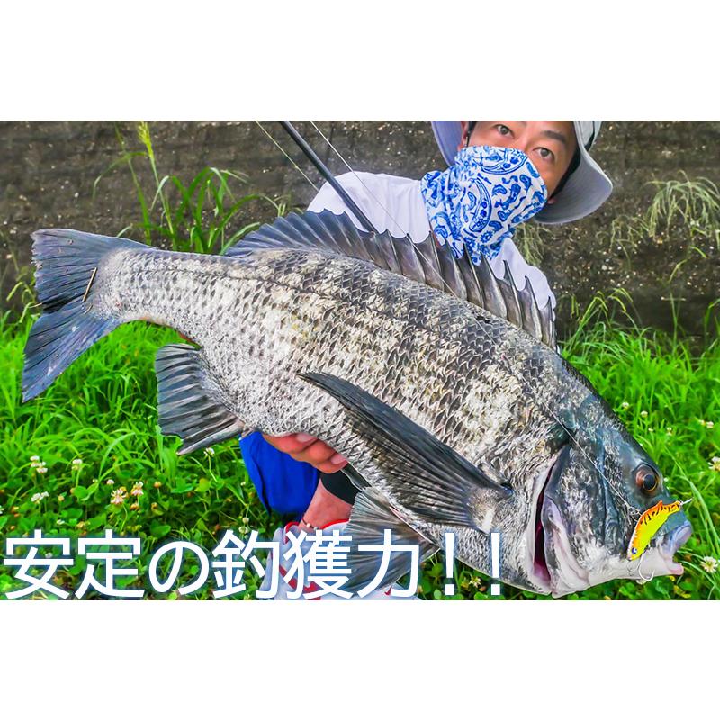 BlueBlue（釣り） ブルーブルー トレイシー 25g #20 ランガンバレット : アングラーズ・サライ ヤフー店 - 通販 - Yahoo!ショッピング