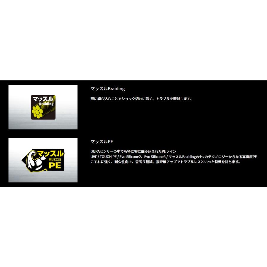 ダイワ (Daiwa) UVF PEデュラセンサー×12EX+Si3 5C 2号 400m ＊画像は全て共通です。 : アングラーズWEB店 - 通販 - Yahoo!ショッピング