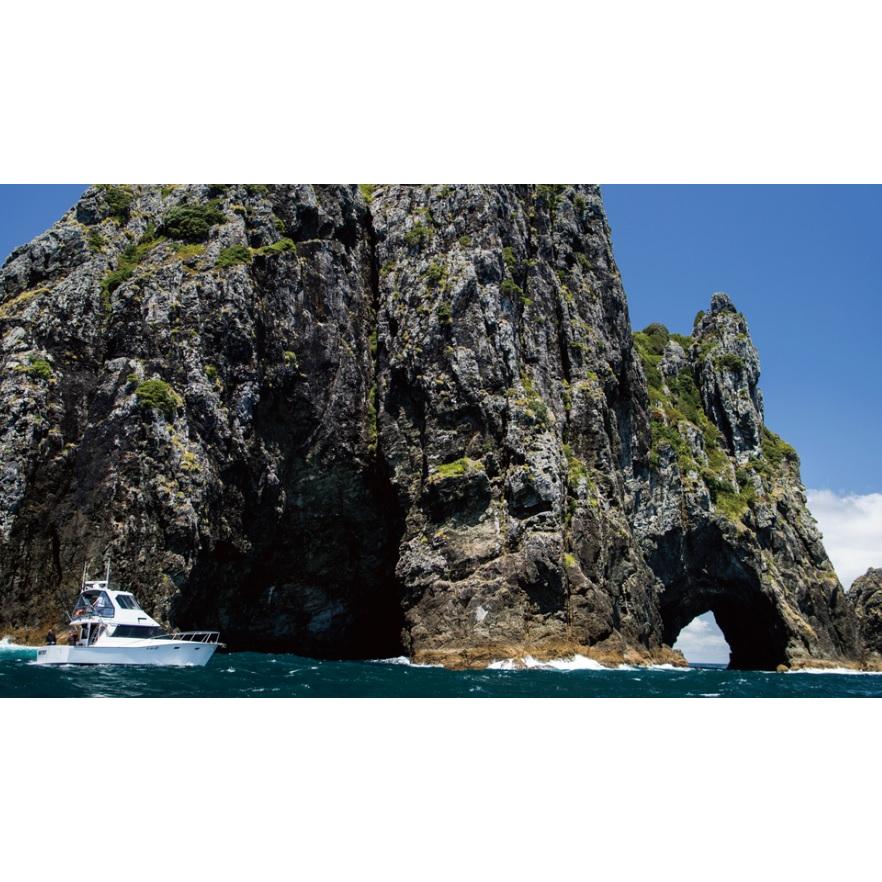 ダイワ (Daiwa) タックルボックス TBシリーズ TB7000 カスタム パープルSP :4550133463808:アングラーズWEB店 - 通販 - Yahoo!ショッピング