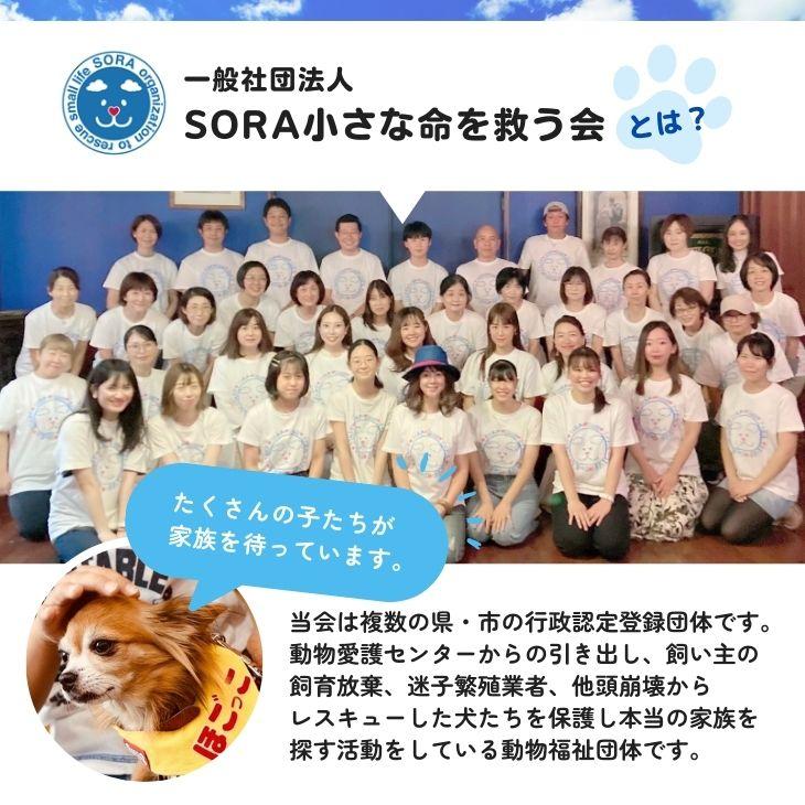 United Athle 動物愛護団体 一般社団法人SORA小さな命を救う会 チャリティー Tシャツ 長袖Tシャツ ビックシルエット 保護犬 ...