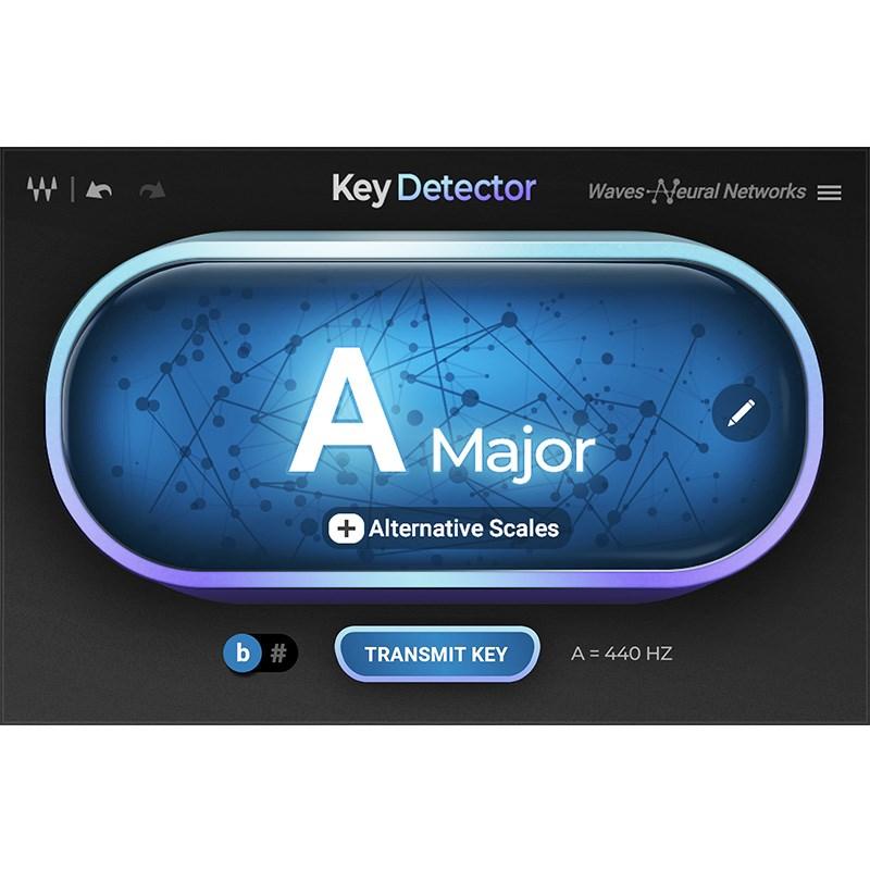 WAVES Key Detector(オンライン納品) : 速納 イケベスピードダウンロード - 通販 - Yahoo!ショッピング