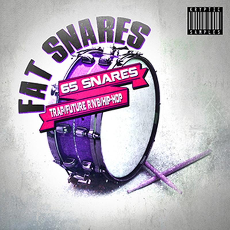 KRYPTIC SAMPLES FAT SNARES(オンライン納品)(2時間以内に納品) : 速納 イケベスピードダウンロード - 通販 - Yahoo!ショッピング