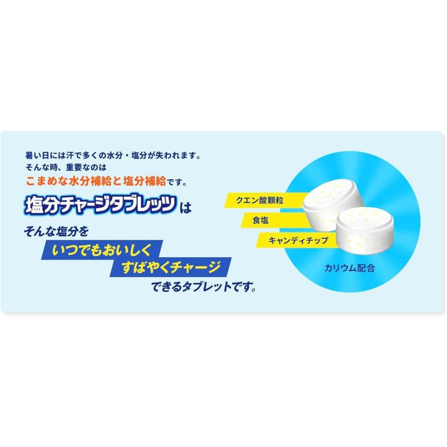 カバヤ 塩分チャージタブレッツ 81g × 48袋 / 個別包装 塩分チャージタブレット 塩タブレット 塩分 塩分補給 塩分チャージ 熱中症防止 熱中症対策 猛暑 : スペシャルビッグバザール ...