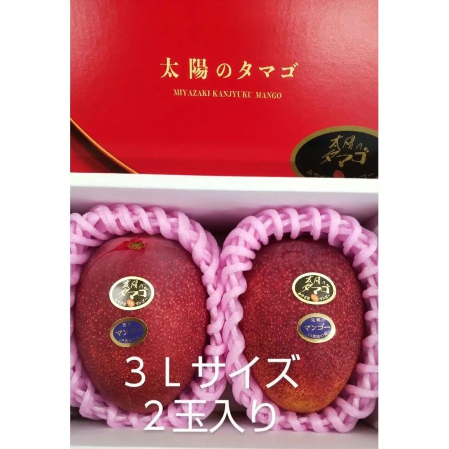 太陽のたまご 3L 宮崎県産 マンゴー (450g以上×2玉入) 果実 : 宮崎aoki青果 - 通販 - Yahoo!ショッピング