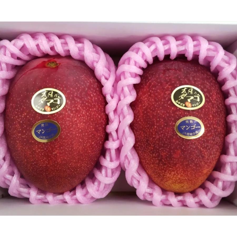 太陽のたまご 3L 宮崎県産 マンゴー (450g以上×2玉入) 果実 : 宮崎aoki青果 - 通販 - Yahoo!ショッピング