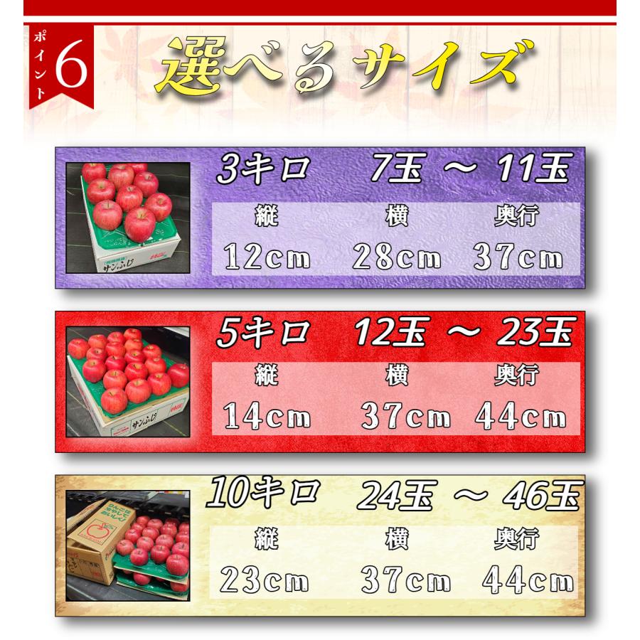 【光センサー選果保証】 高糖度 青森県産 りんご シナノゴールド 家庭用 訳あり 3kg 3キロ 送料無料 : 寺田フルーツ - 通販 - Yahoo!ショッピング