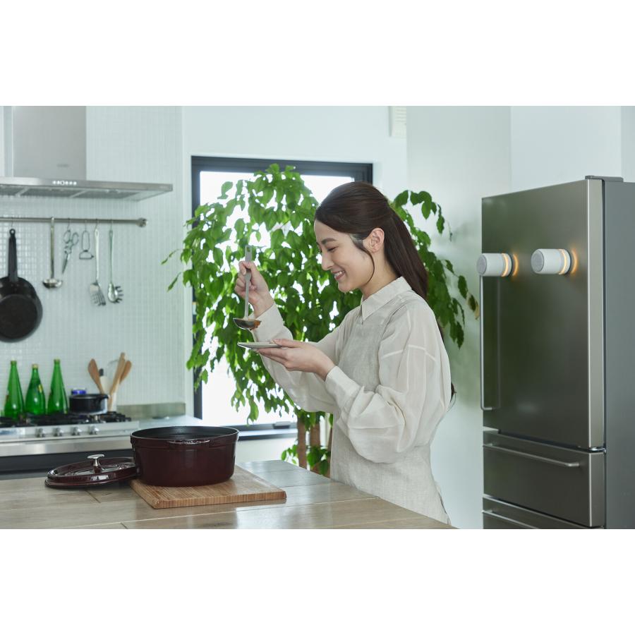 RHYTHM ポータブルスピーカー Bluetooth グッドデザイン賞受賞 VGP受賞 「MAGSPEAKER DUO」 : Tobac ...