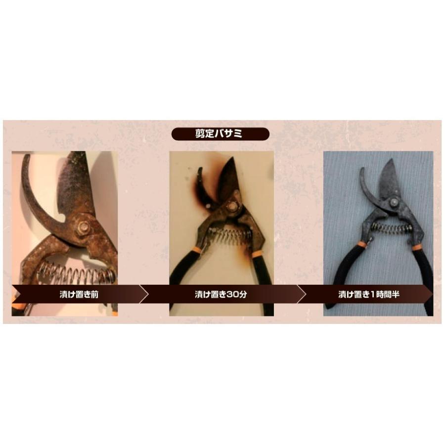 RUST VANISH ラストバニッシュ バイオパワー強力サビ落とし剤（容量：10L）| サビ取り サビ取り剤 さび落とし 錆取り さびとり ...