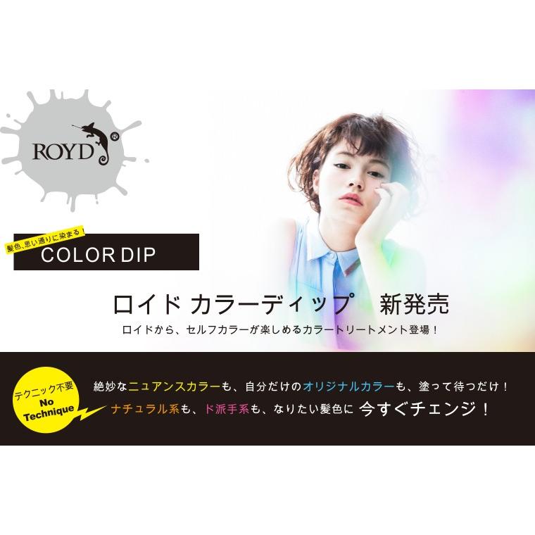 カラー トリートメント ロイド ディップ ROYD COLOR DIP ブロンド : apish mo.no - 通販 - Yahoo!ショッピング