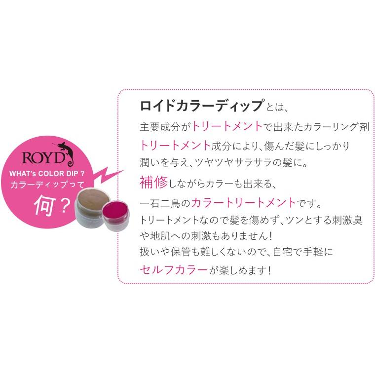 カラー トリートメント ロイド ディップ ROYD COLOR DIP ブロンド : apish mo.no - 通販 - Yahoo!ショッピング