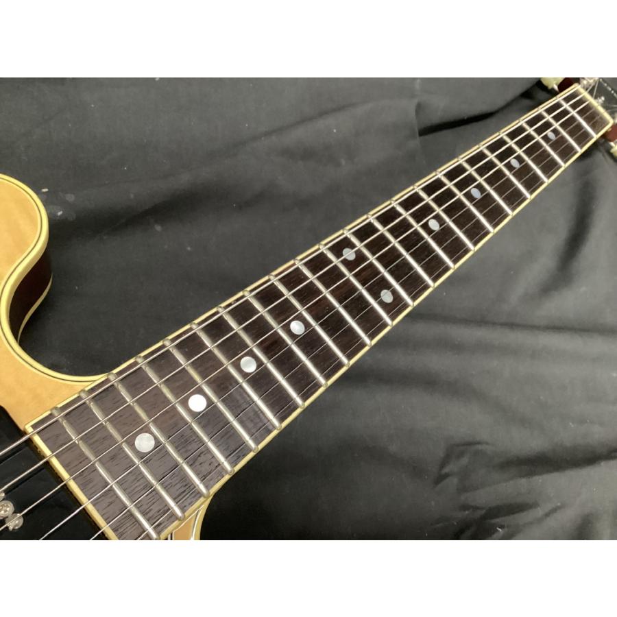 FUJIGEN(FGN) MSA-SP / Natural (フジゲン セミアコ Masterfield )【長岡店】 : あぽろんYahoo!店 - 通販 - Yahoo!ショッピング