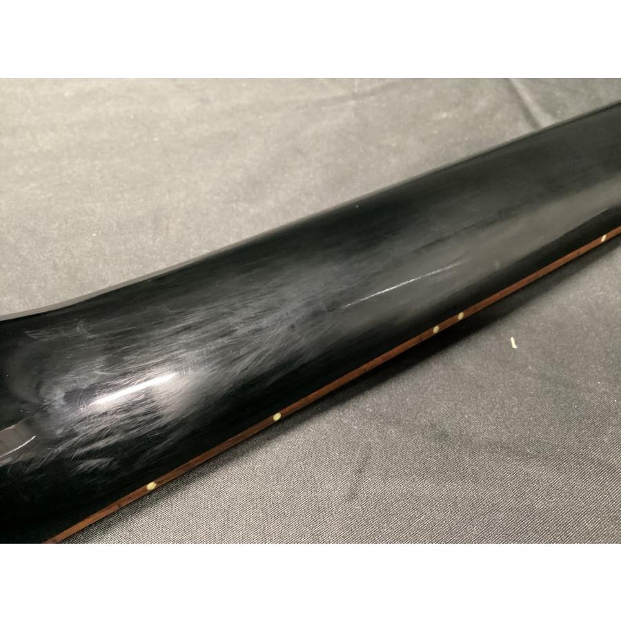 Paul Reed Smith(PRS) SE Custom 24 (ポールリードスミス 24フレット カスタム24)【長岡店】 : あぽろん ...