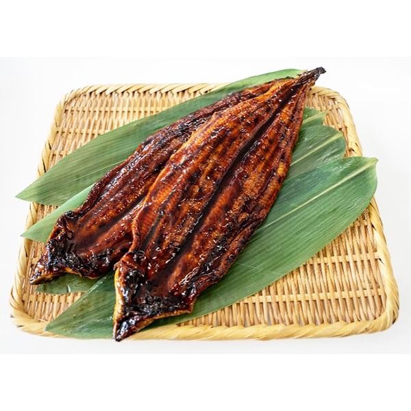 うなぎ蒲焼 5kg ( 30尾サイズ / 1尾 約330g 有頭腹開 /中国産 化粧箱入り 15尾入り )[1156216] : A-プライスオンラインショップ - 通販 - Yahoo!ショッピング