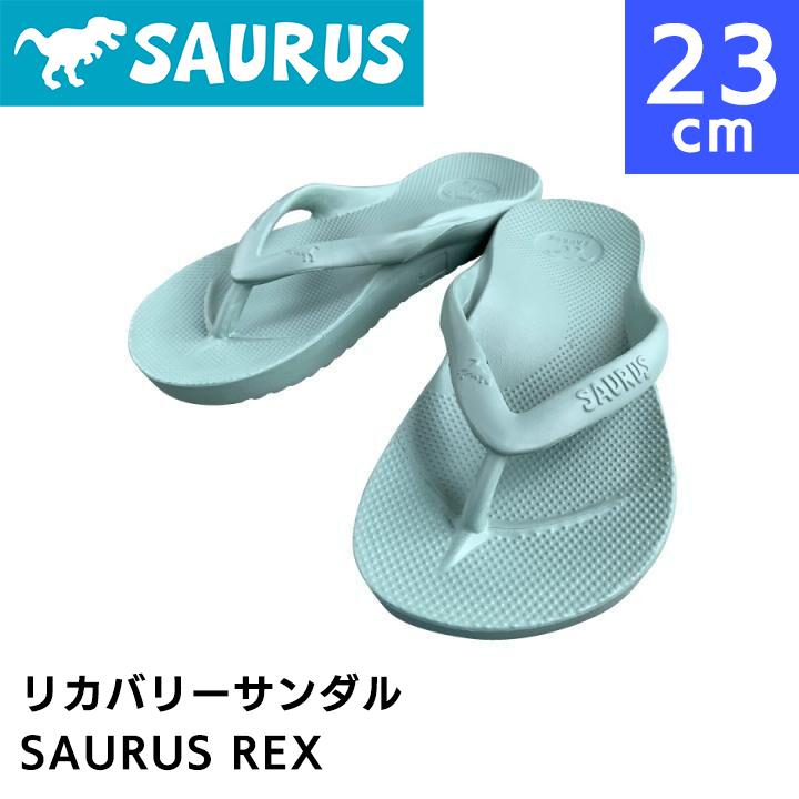 サウルス リカバリーサンダル バジル SAURUS REX BASIL 23cm メンズ レディース 痛くない おしゃれ ビーチサンダル :4582561498268:AB-Next - 通販 ...