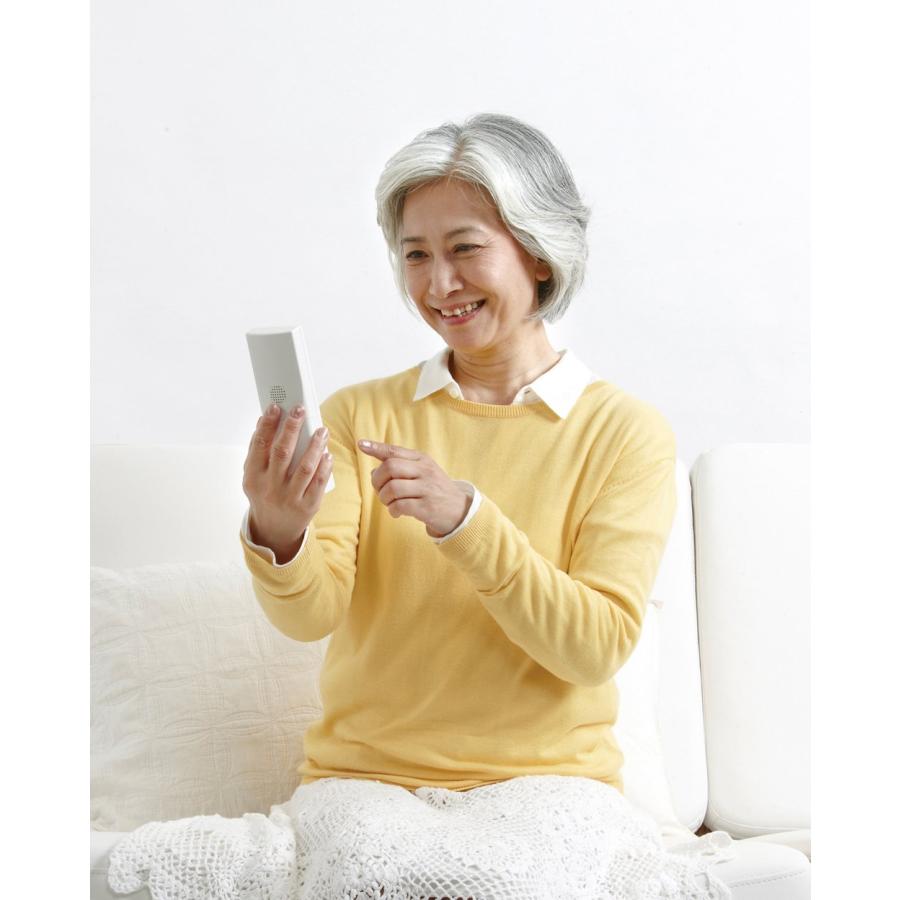 アイホン ドアホン インターホン ワイヤレス子機 モニター付 音量調節可能 WJ-4WD : Apple Mint - 通販 - Yahoo!ショッピング