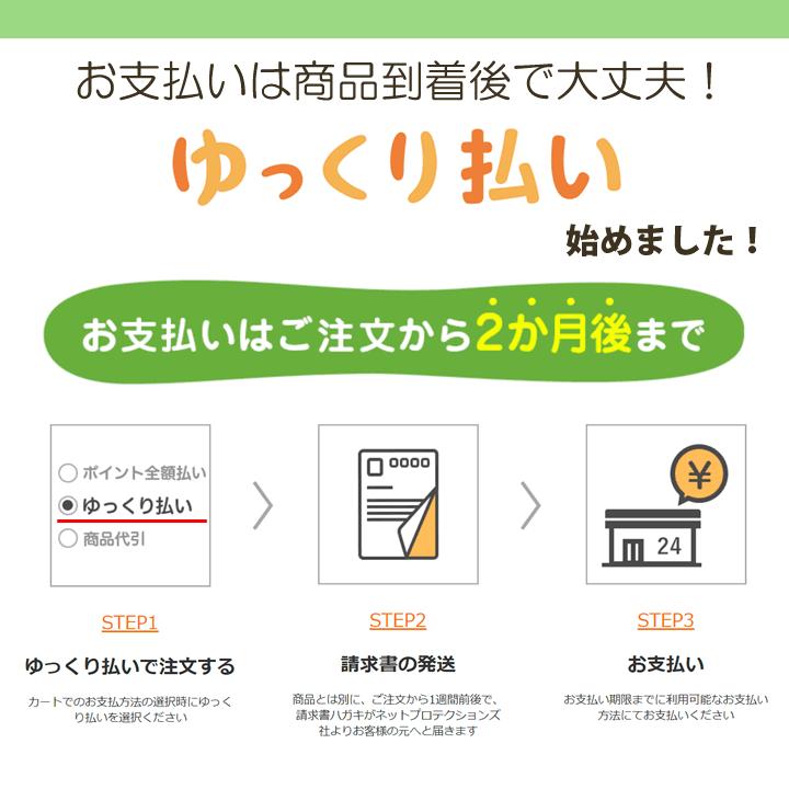 たった140gで驚きの収納力！超軽量ショルダーバッグでどこへでもスマートに出かけよう！ 肩掛け ショルダー ポーチ 小物入れ レディース メンズ : あっぷる本舗SP - 通販 - Yahoo ...