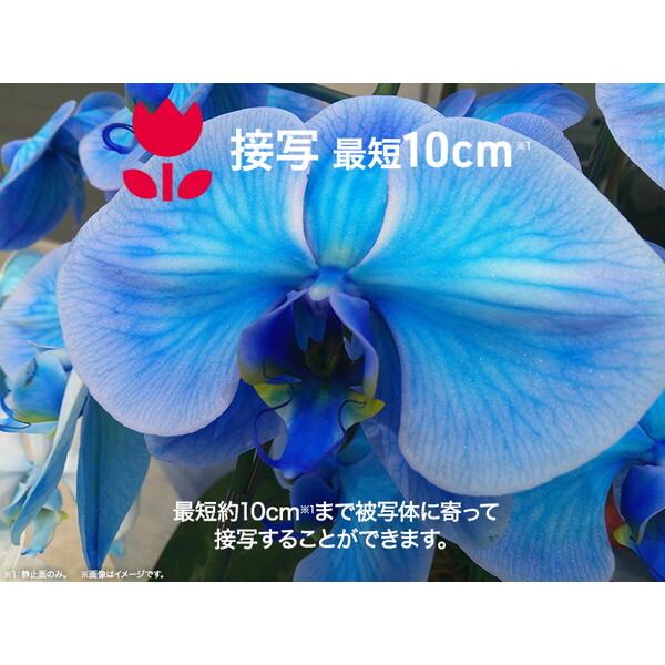 アイワ AIWA JA4-DCM0001(WH) ホワイト コンパクトデジタルカメラ (1300万画素) : XPRICE Yahoo!店 - 通販 - Yahoo!ショッピング