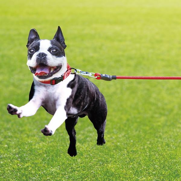 Petio ペティオ Porta トレーニングロングリード 15m : XPRICE Yahoo!店 - 通販 - Yahoo!ショッピング