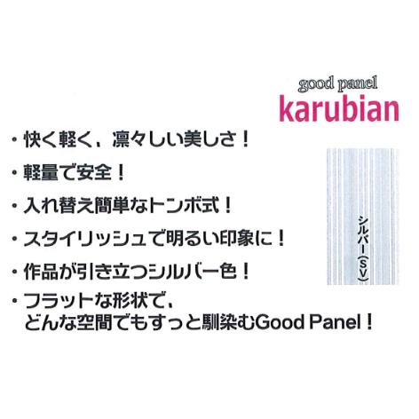 アルテ VQ-B2-SV アルミフレーム カラー：シルバー カルビアン B2サイズ（515×728mm） :VQ-B2-SV:AQプラネット - 通販 - Yahoo!ショッピング