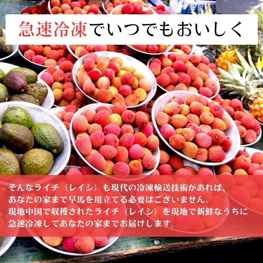 冷凍ライチ 500g 20PC 南国フルーツ トロピカルフルーツ らいち レイシ 冷凍フルーツ : お取り寄せグルメアクアフーズ - 通販 - Yahoo!ショッピング