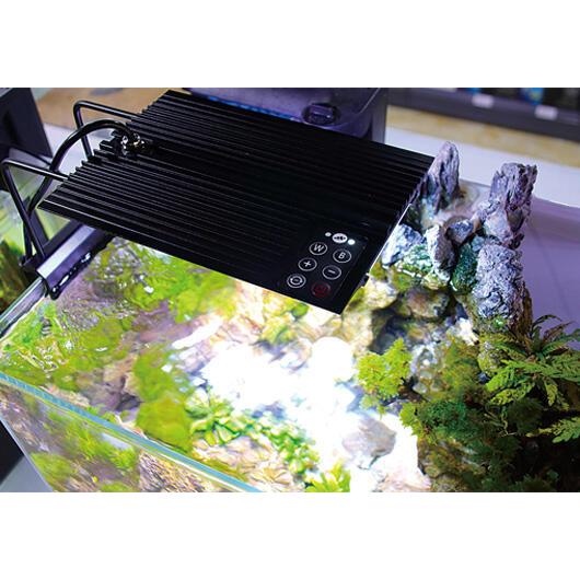 (在庫限り大特価！！)マーフィード NEMO LIGHT2 AF-48 (淡水用) : アクアテイラーズヤフー店 - 通販 - Yahoo!ショッピング