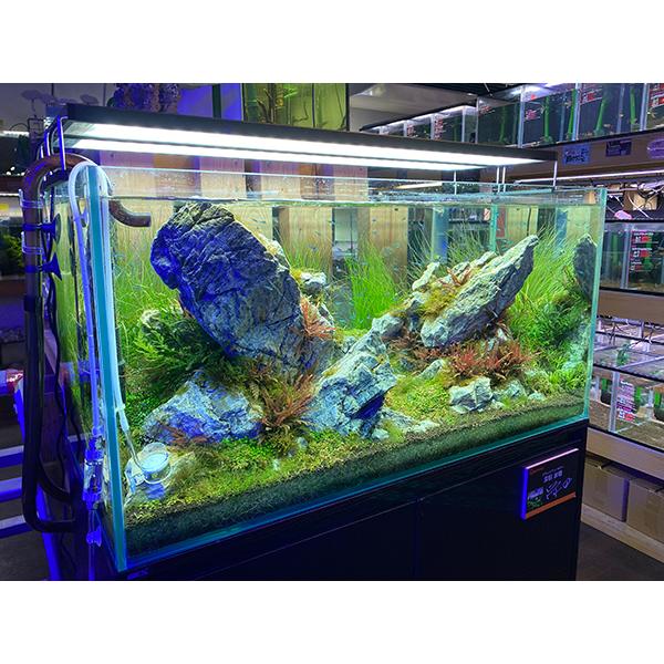 Gurek Stone グレックストーン サイズMIX 約8kg : アクアテイラーズヤフー店 - 通販 - Yahoo!ショッピング