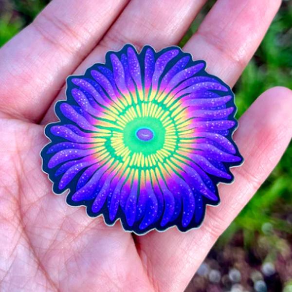 （正規輸入品）lazycoffeedesign Sunny D Zoa Sticker (Limited edition) : アクアテイ ...