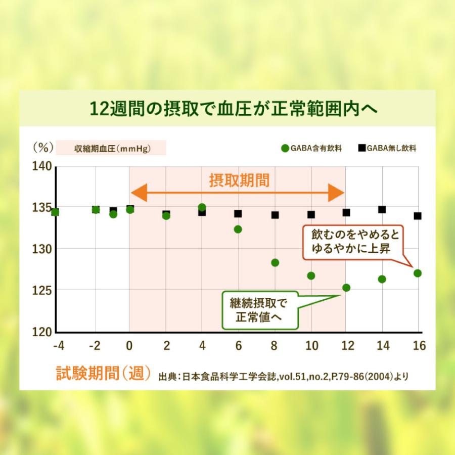 福袋 2025 食品 お茶 緑茶 GABA ギャバ 血圧 ティーバッグ ティーパック 深蒸し茶 日本茶 静岡茶 大入りGABA茶セット 送料無料 : 30007 : お茶の荒畑園ヤフー店 ...