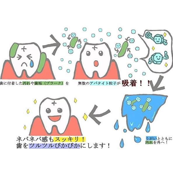 北栄 シェルピカ 80g 3個 (薬用 歯磨き粉 歯みがき粉 ハミガキ粉 ホワイトニング オーラルケア 3本) : 3371-000598-3 : アロカリア - 通販 - Yahoo!ショッピング