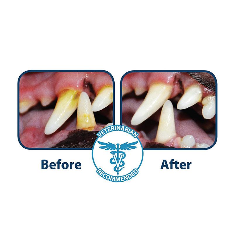 【新品】KPS マウスクリーナー バニラミント 237ml : アークオンライン Yahoo!店 - 通販 - Yahoo!ショッピング