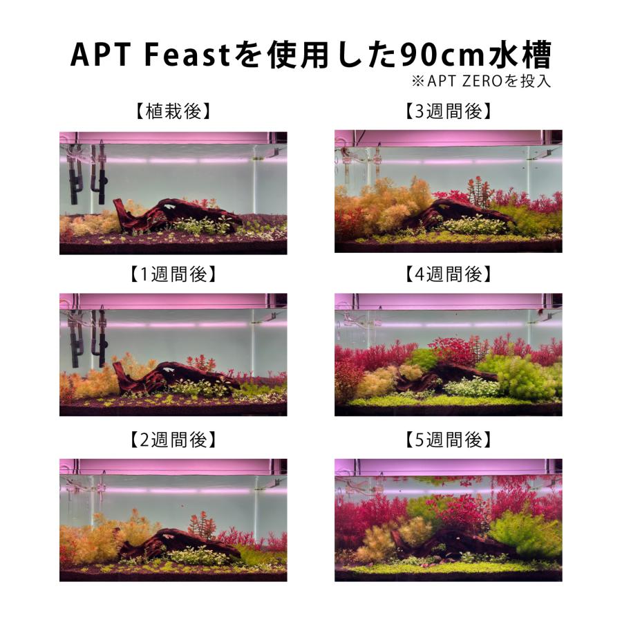 THE 2HR AQUARIST 水槽 栄養系ソイル (5L) ソイル 水草 肥料 栄養剤 FEAST アクアリウム 立ち上げ : ARCH ...