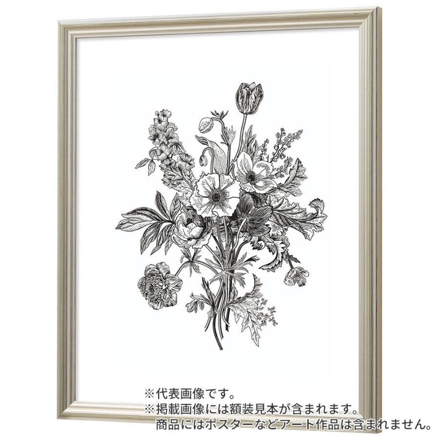 デッサン額縁 フォークストン S緑 小全紙 額内寸(660×510mm) 表面(アクリル) ラーソン・ジュール : アークオアシス ヤフーショップ - 通販 - Yahoo!ショッピング