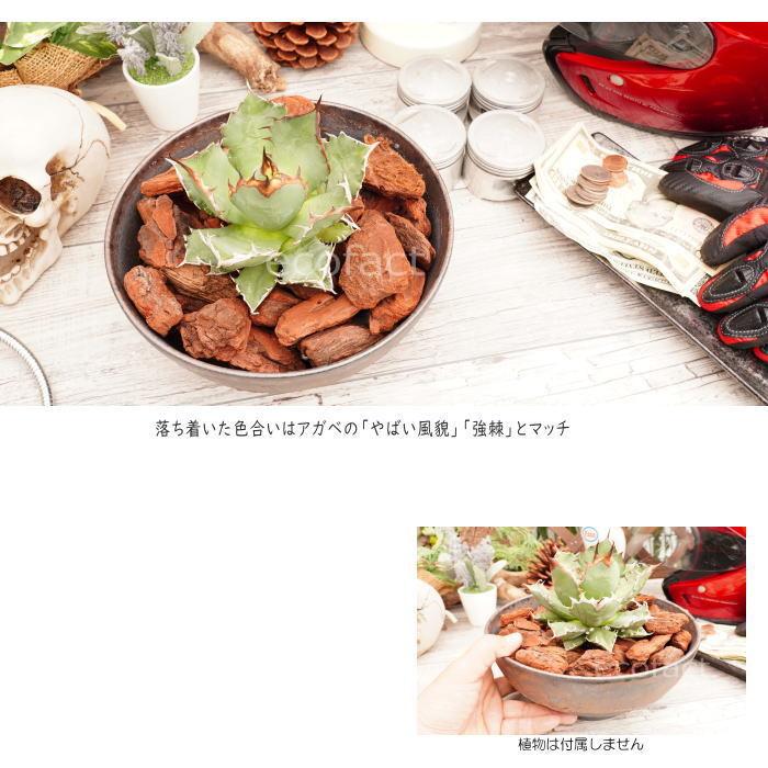 陶器鉢 植木鉢 7号 ワン型 金彩 ゴールド/ブラック おしゃれ 陶器鉢 植木鉢 7号 ワン型 金彩 ゴールド/ブラック おしゃれ